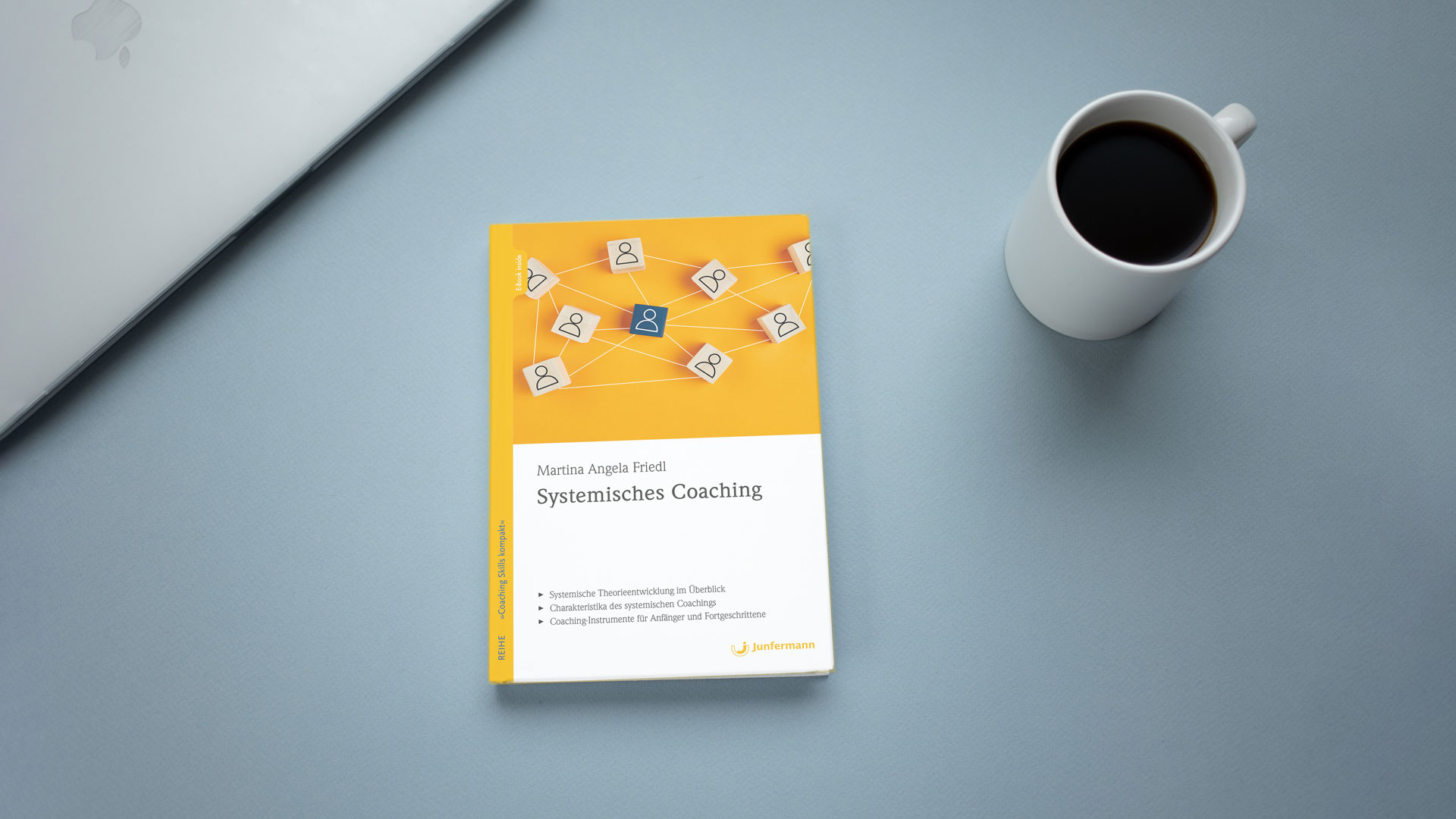 Systemisches Coaching Sachbuch ⋆ Dr.in Martina Angela Friedl